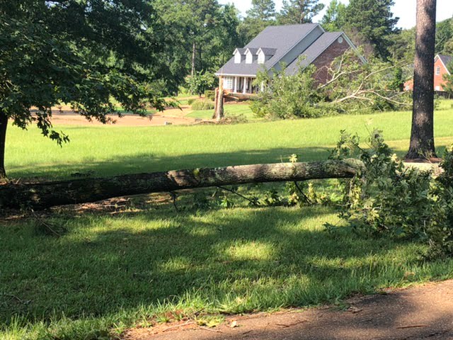 Photo gallery: storm damage on Golf Course Road - BreezyNews.com ...