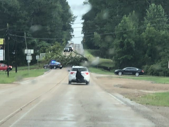 Photo: tree blocks road on Hwy 35 S near Williamsville - BreezyNews.com ...