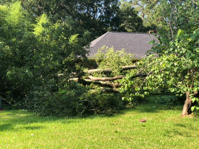 Photo gallery: storm damage on Golf Course Road - BreezyNews.com ...